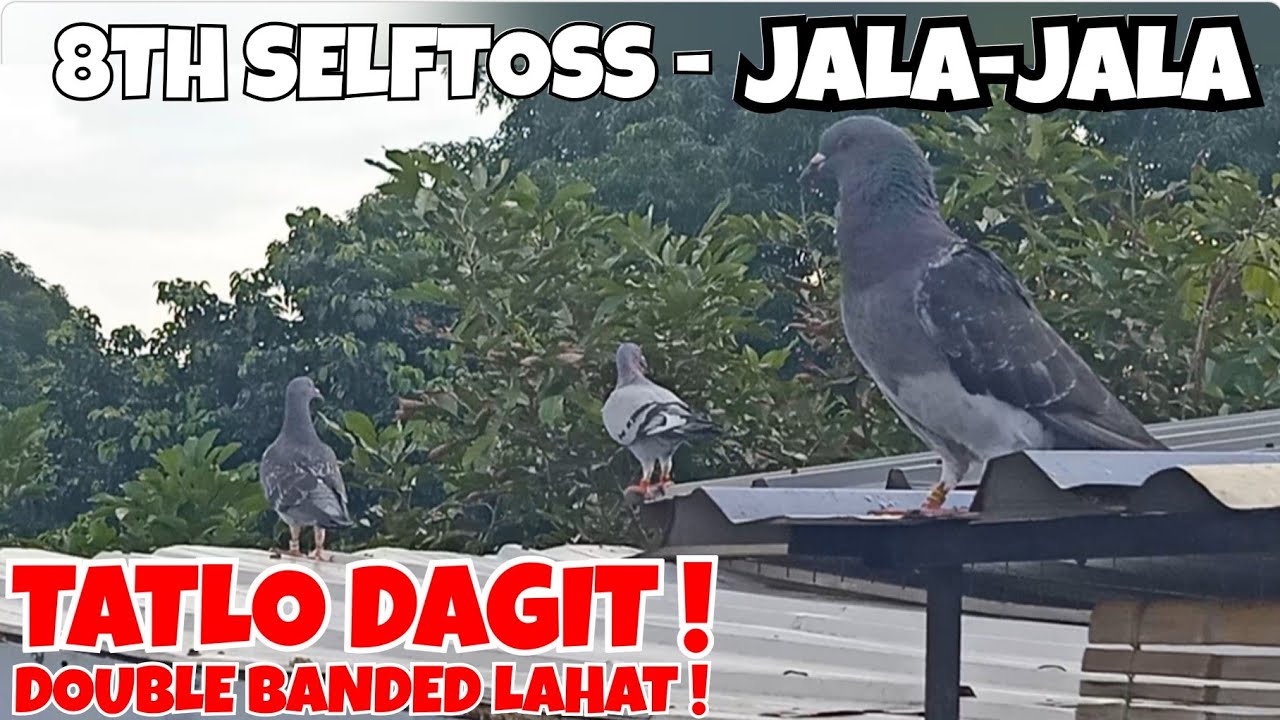 JALA-JALA, RIZAL - 51 KMS - YouTube