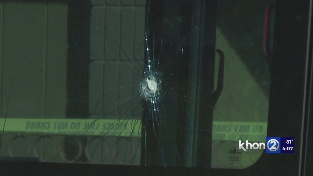Alleged bus shooting suspect identified after ‘extensive amount’ of ...