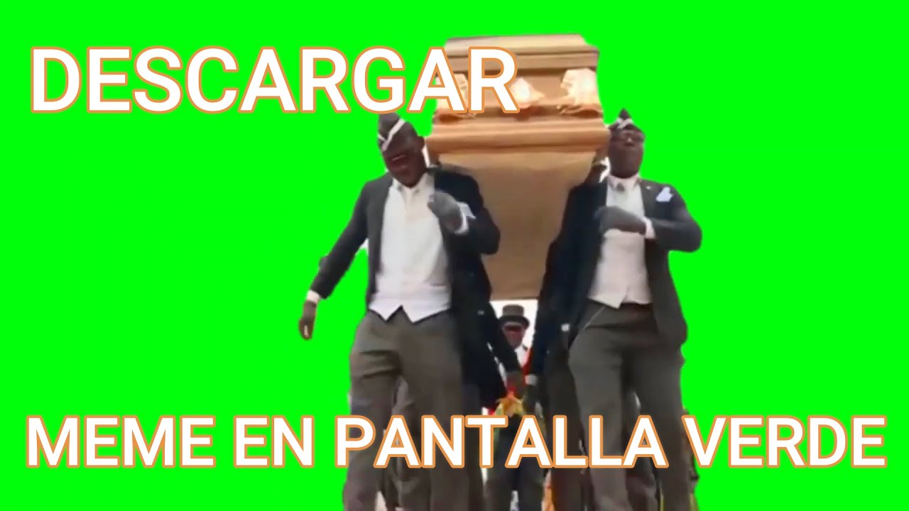 ATAUD MEME COFFIN pantalla Verde - YouTube