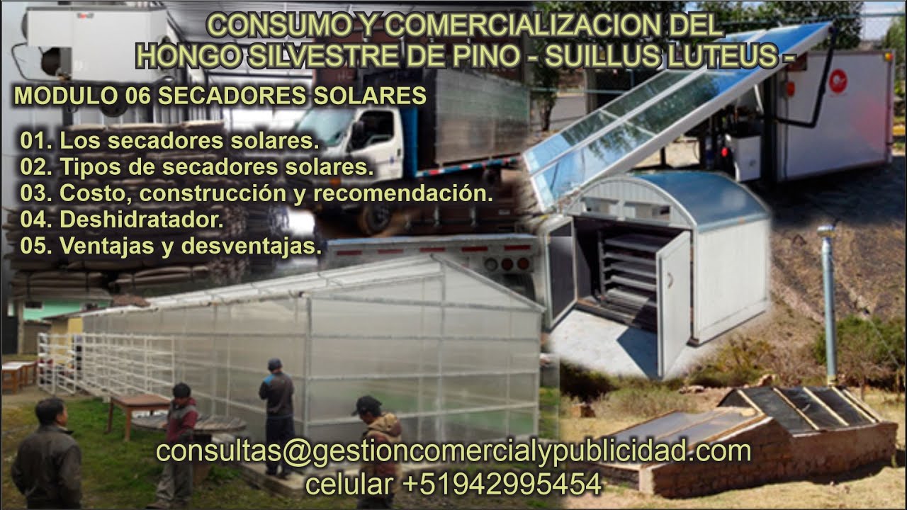 Modulo 06 Secadores Solares - YouTube