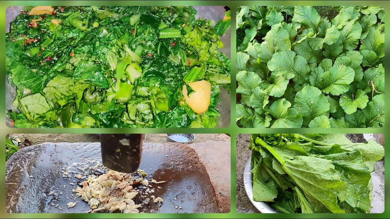 Saag in Village Style | Home grown fresh Saag | Rayo Saag | Fresh ...