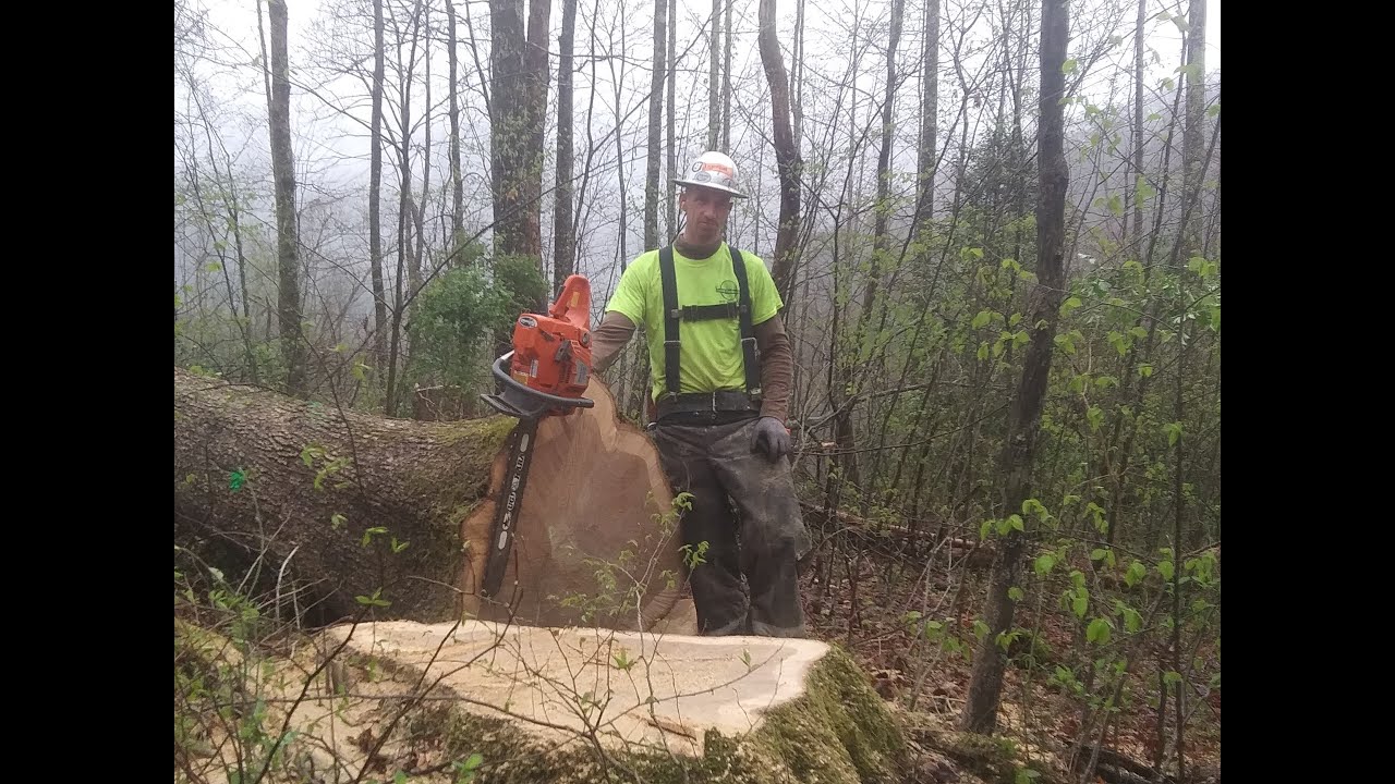 I LOVE WEST VIRGINIA!! - YouTube