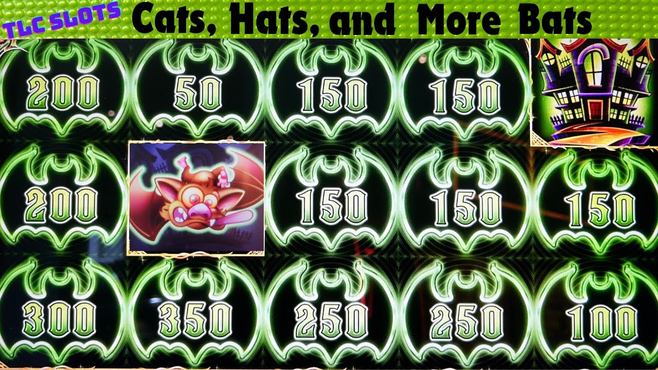 Cats, Hats, and More Bats Full Screen?🦇Plus Unbelievable Jewel of the ...