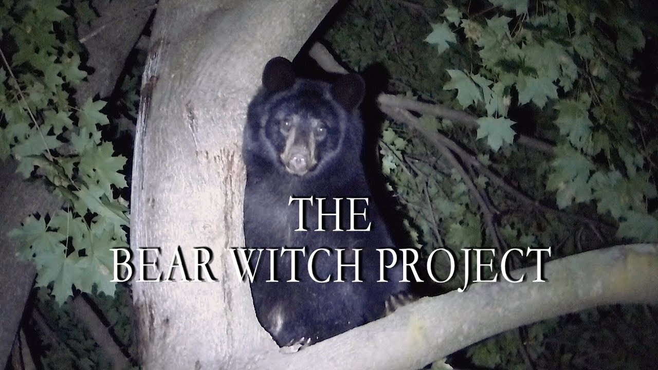 The Bear Witch Project - YouTube