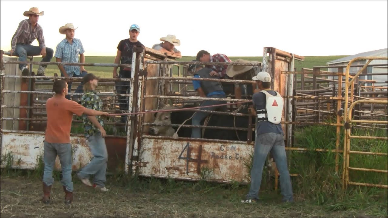 Practice Pen 7-28-13 (Bull Riding) - YouTube