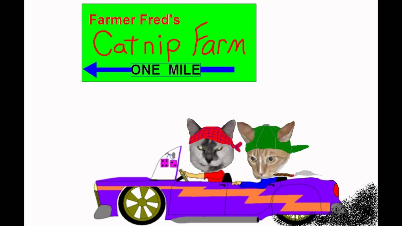 Low Rider Cats 1.mp4 - YouTube