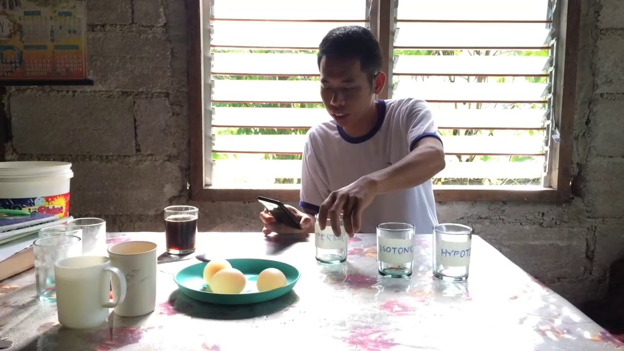 EGG OSMOSIS (Hypertonic, Hypotonic, and Isotonic) - YouTube