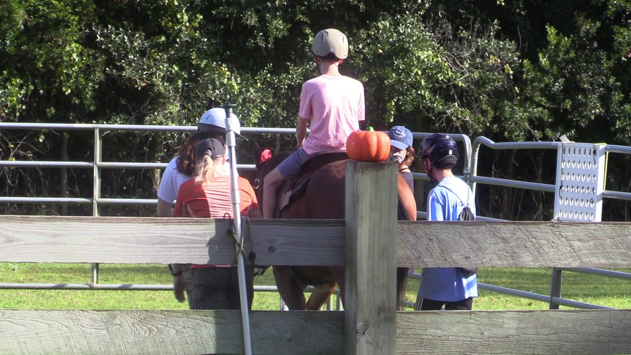 Equine Therapy at Bit Of Faith Ranch 10 10 20 - YouTube