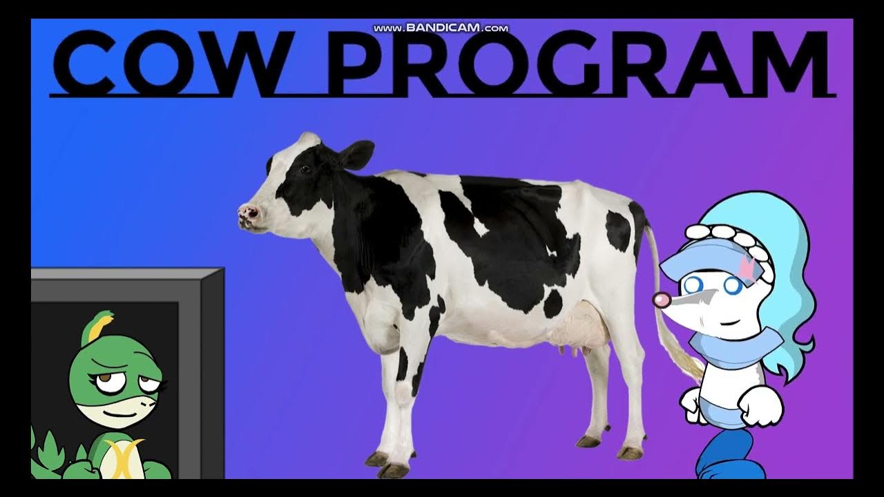 Cow Program 1157 - YouTube