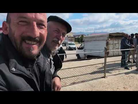 ÇORUM HAYVAN PAZARI KÜÇÜKBAŞ 20 NİSAN ÇEKİMİ TEK BÖLÜM 21 NİSAN 2026