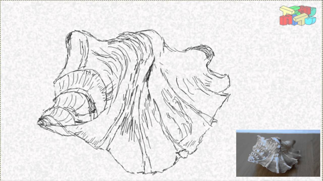 drawing exercise 3 - textures - YouTube