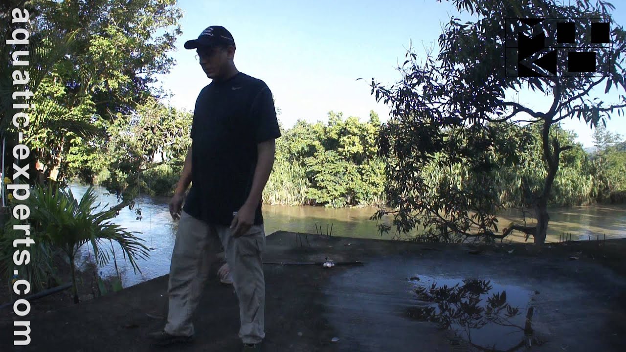 THE FISH GUYS EXPEDITION 2 - PART 1 - YouTube