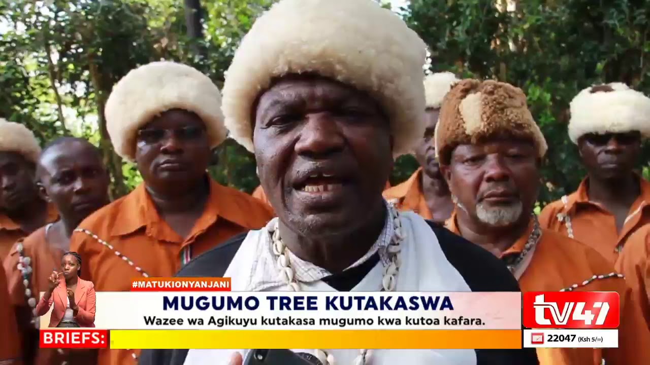 The cleansing of the Mugumo tree - YouTube