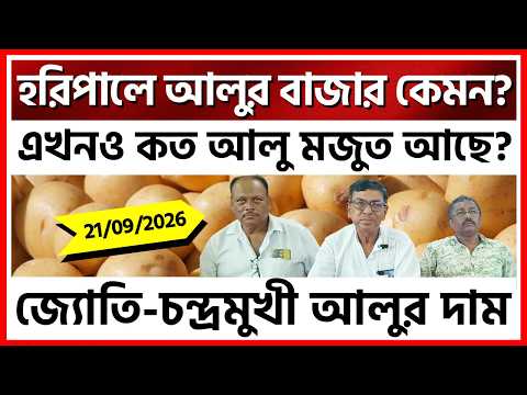 হরিপাল আলু বীজ ব্যবসায়ী সমিতির AGM | জ্যোতি-চন্দ্রমুখী-হিমালিনীর আজকের দাম কত? | কত আলু মজুত?