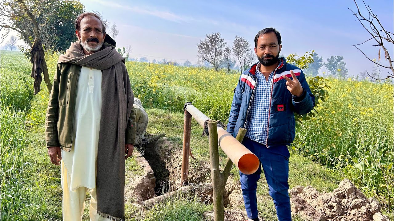 Daily Routine in Village of Punjab | Wheat Crop is growing up | Fasal ...
