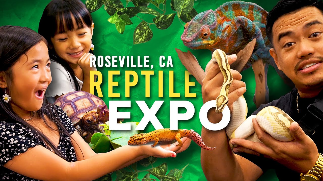 EXPLORING the REPTILE EXPO in ROSEVILLE CA! - YouTube