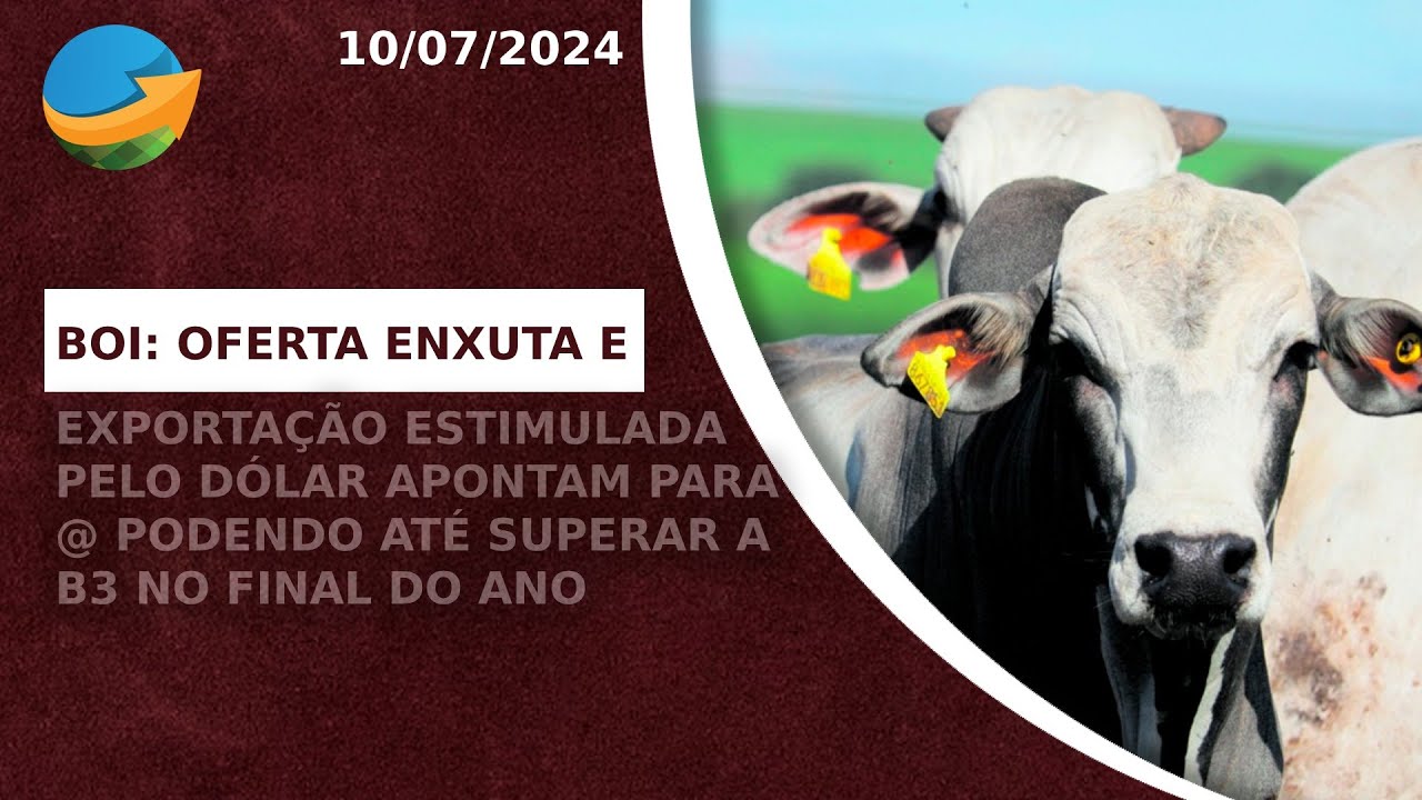 Boi: Oferta enxuta e exportação estimulada pelo dólar apontam para ...