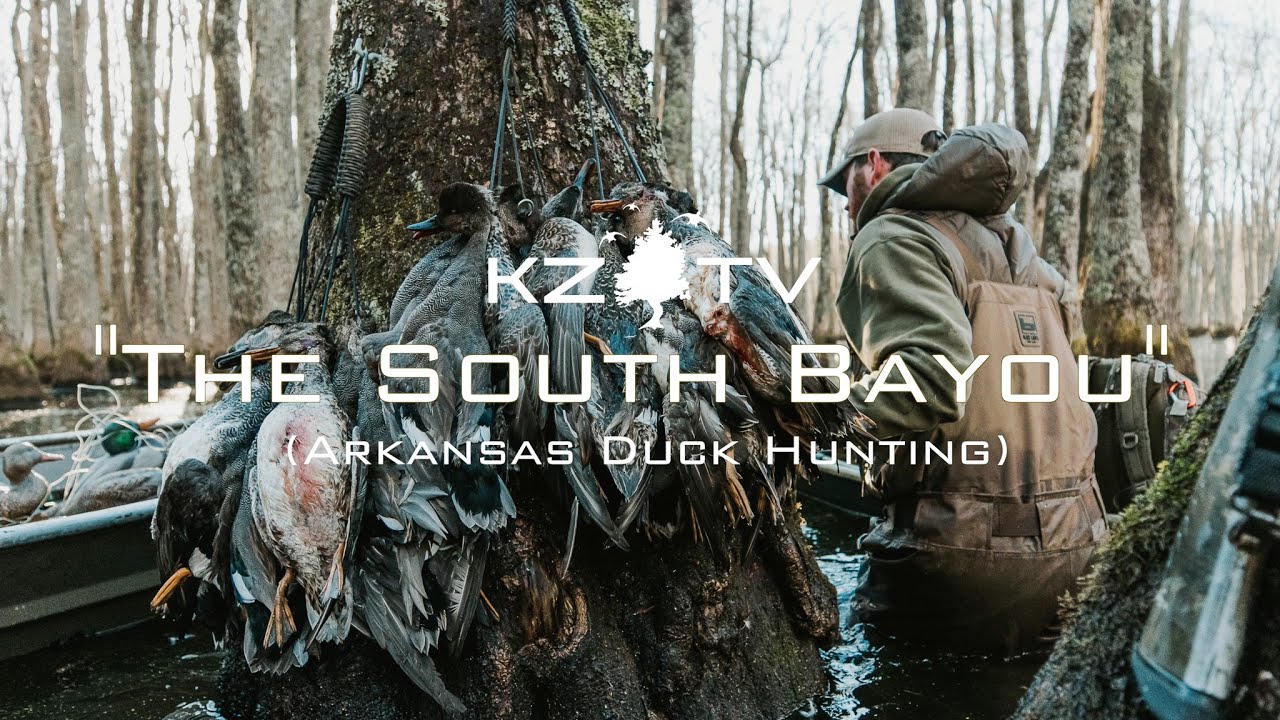 Ducks In The Bayou!! Arkansas Duck Hunting - K Zone TV: "The South ...