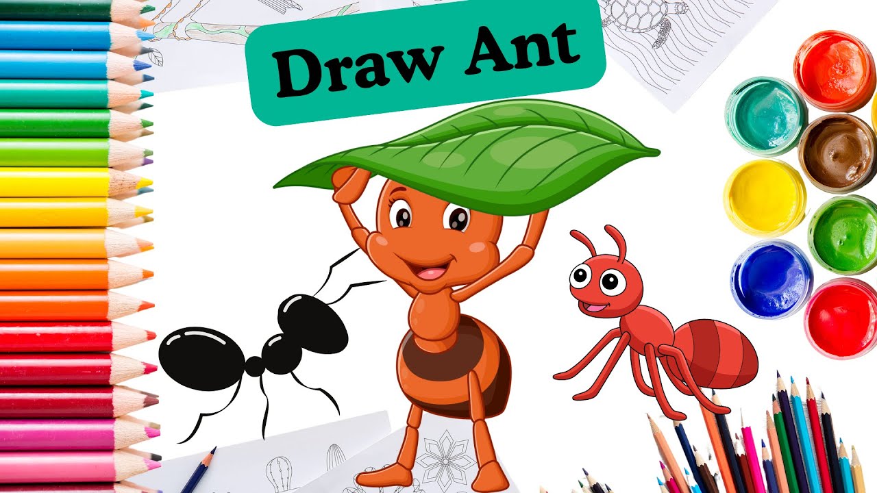 Drawing Ant 🐜 How to draw a Ant 🐜 Animal Art Drawing 🐜Ant - YouTube