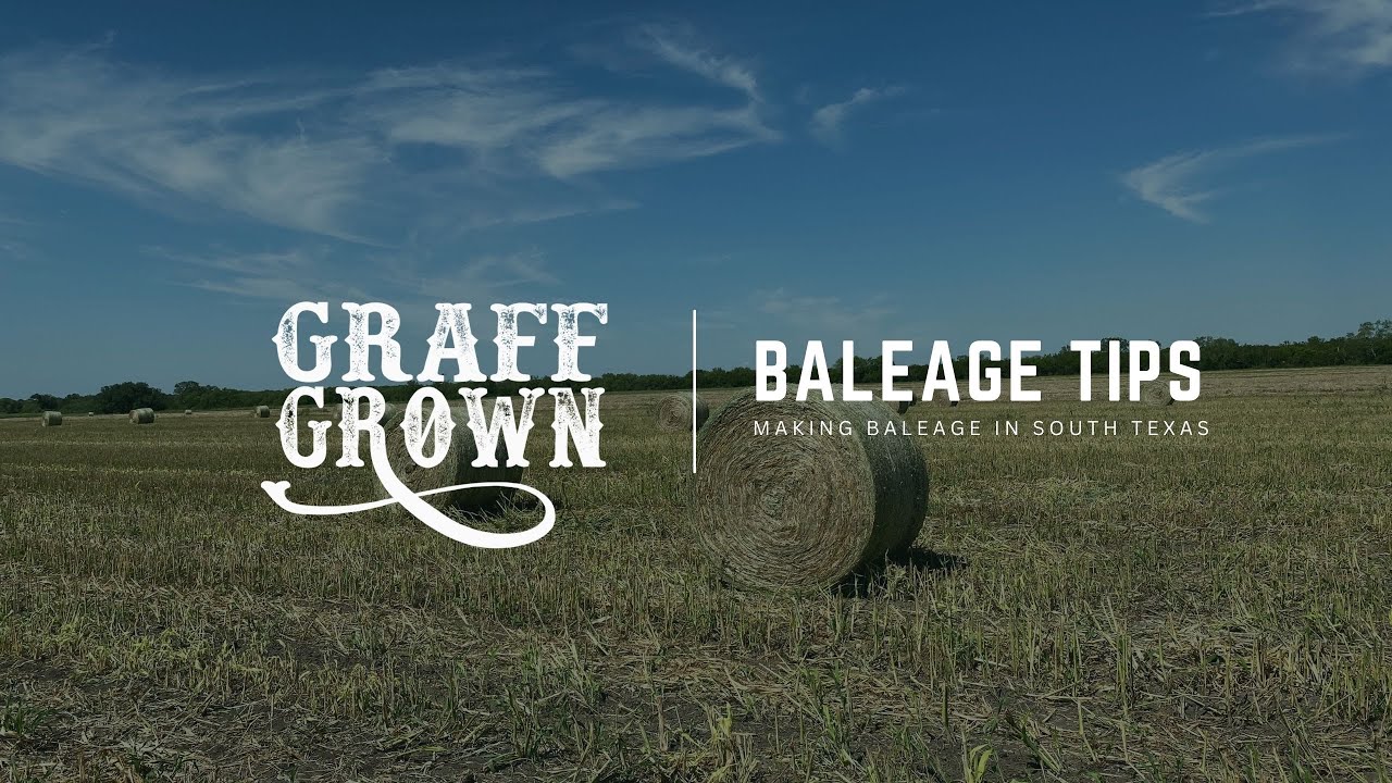 Dry Hay vs. Baleage - Graff Grown - YouTube