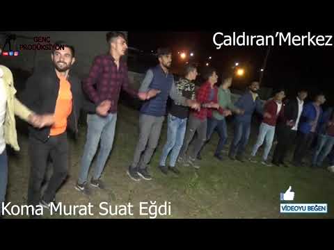 BU GENÇLER Bİ HARİKA ''YENİ'' GENÇLİK HALAY  2019