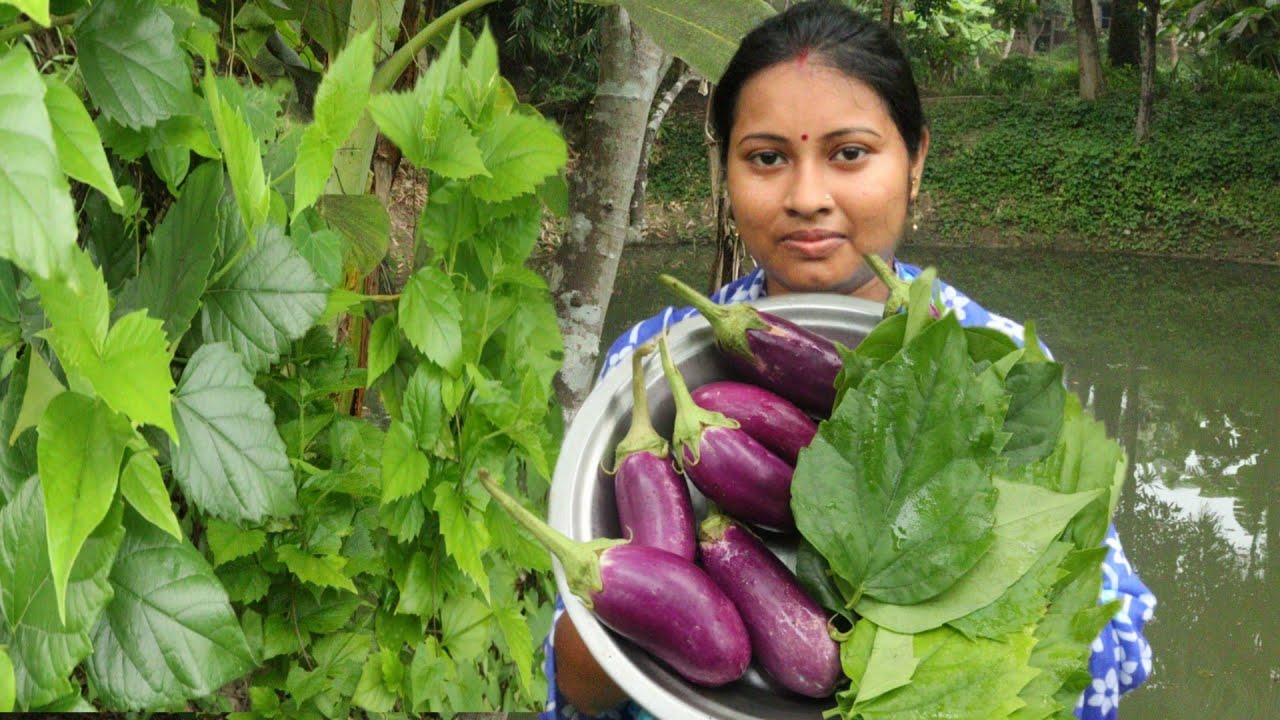Desi Village Style Healthy Siuli Patar Recipe With Brinjal||harsingar ...