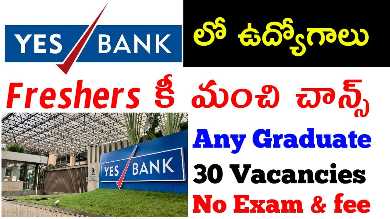 Yes Bank Jobs Recruitment 2023 Yes Bank Jobs For Freshers Latest yes-bank-jobs-recruitment-2023-yes-bank-jobs-for-freshers-latest