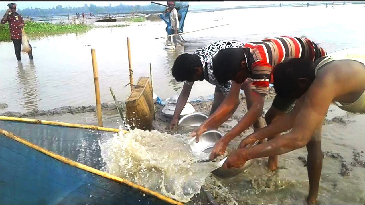 Wow! Traditional village Fishing _ Catching Lot of Fish _ Fishing in ...