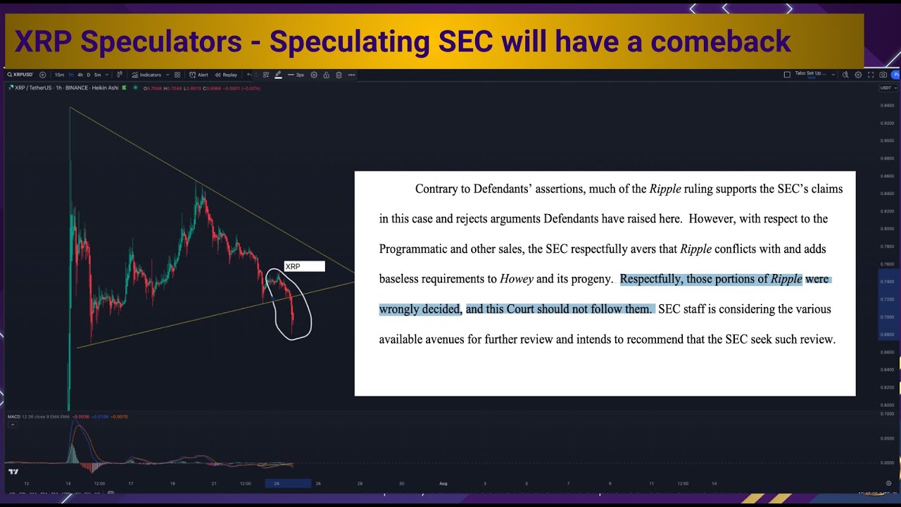 Members Exclusive July FA Summary and Discussion of XRP Case - YouTube