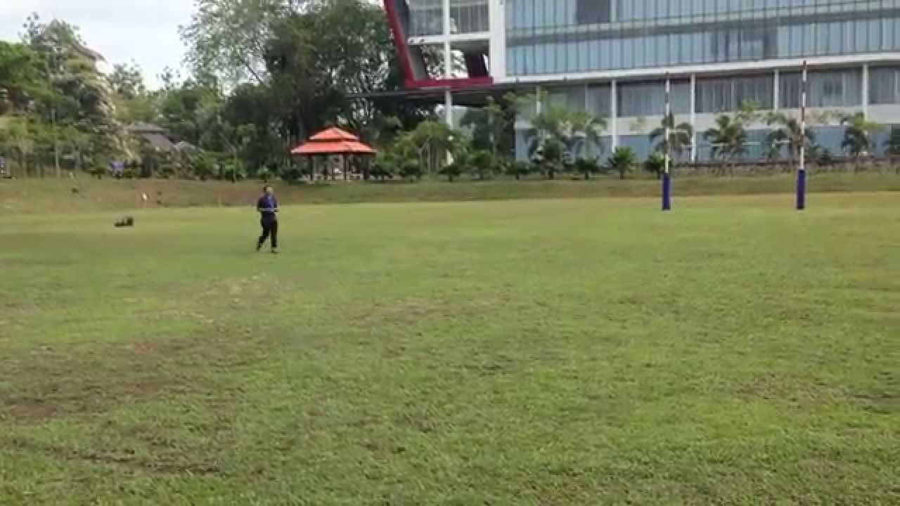 successful flying wing ( delta wing ) with landing gear - YouTube