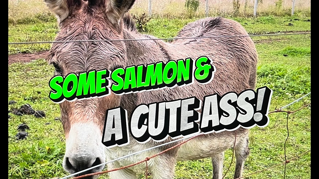 Margaree Fish Hatchery & Normaway Inn Margaree - YouTube