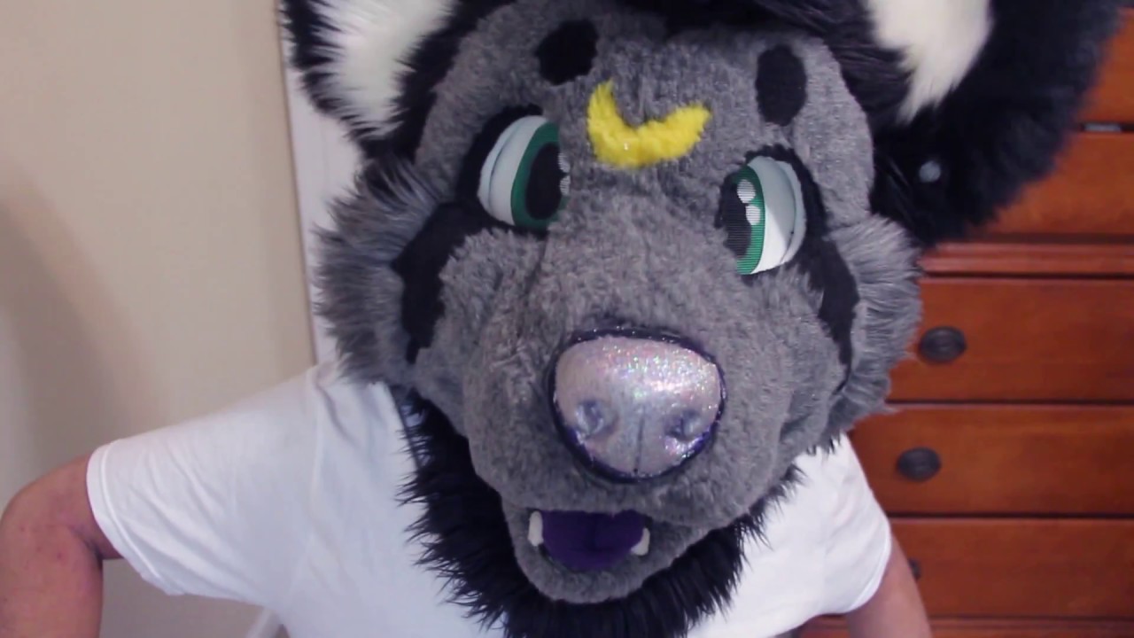 The Furry Fandom Tour - YouTube