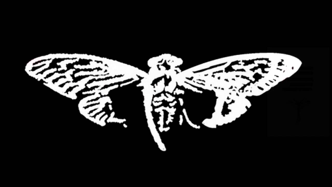 Cicada 3301 Explained - Part 4 (2014+) - YouTube