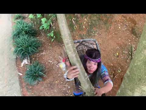 Niam Tais Poj Dab Tiam 2023 - YouTube