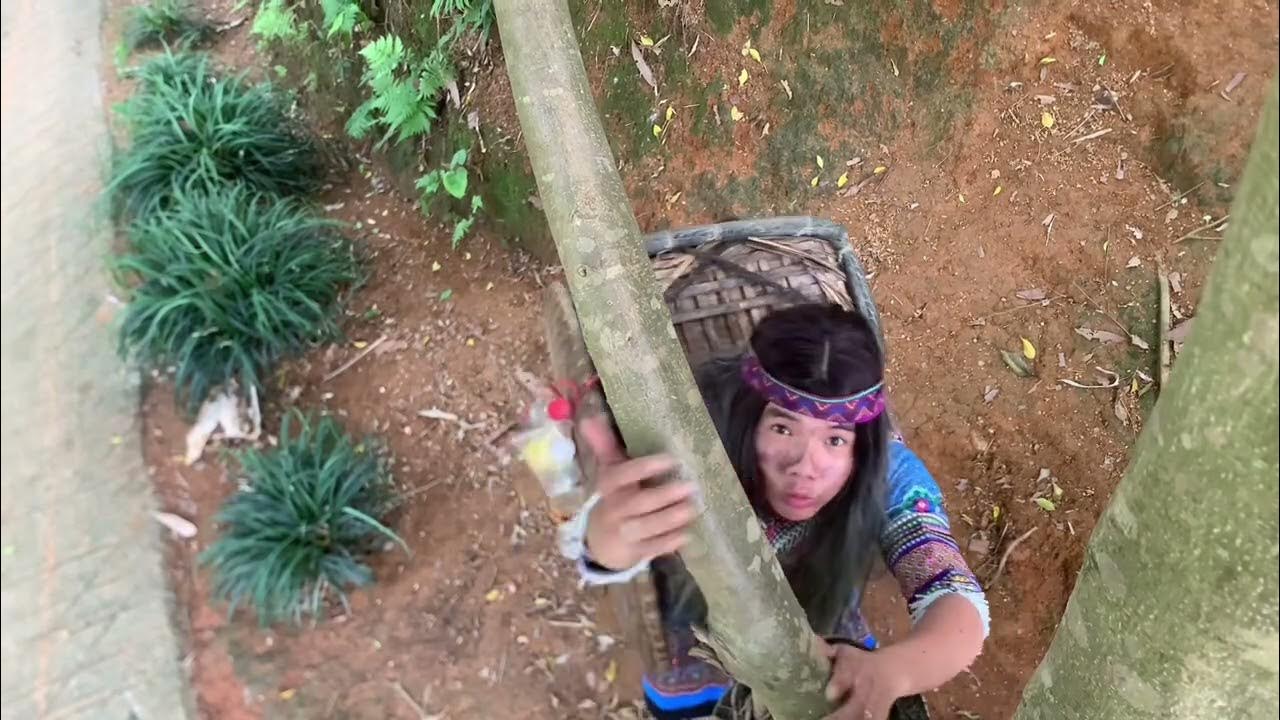 Niam Tais Poj Dab Tiam 2023 - YouTube