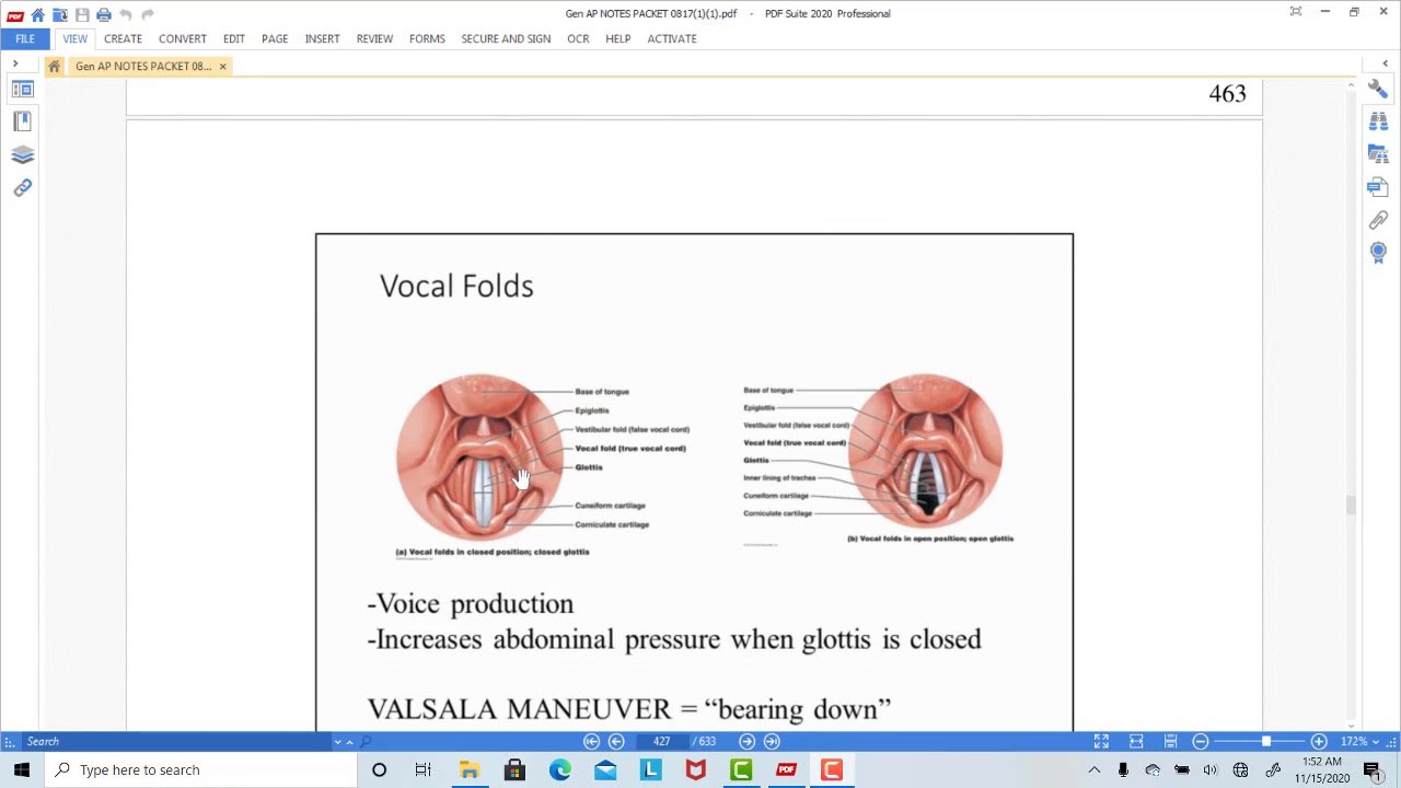 Gen AP Respiratory System - YouTube