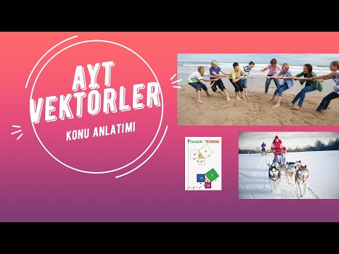 AYT Vektörler