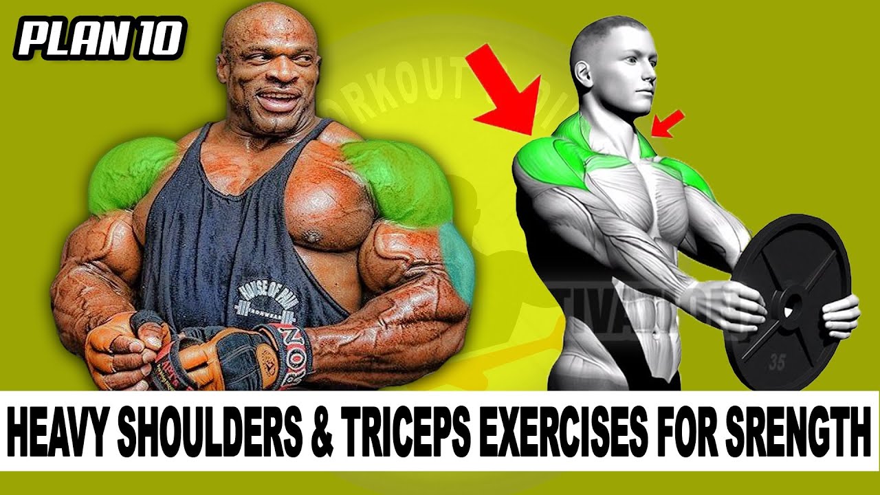 Heavy Shoulder And Triceps Exercises For Increasing SRENGTH (PLAN 10 ...