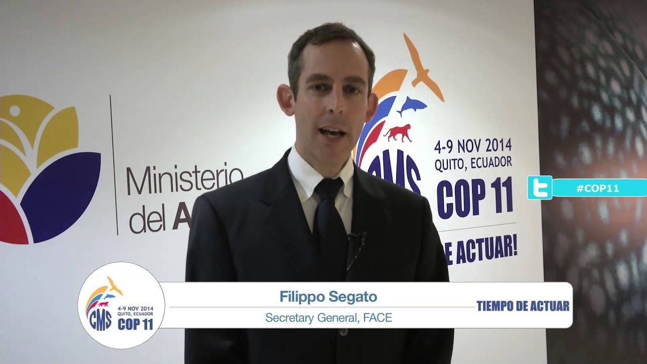 Filippo Segato - Secretary General FACE - YouTube
