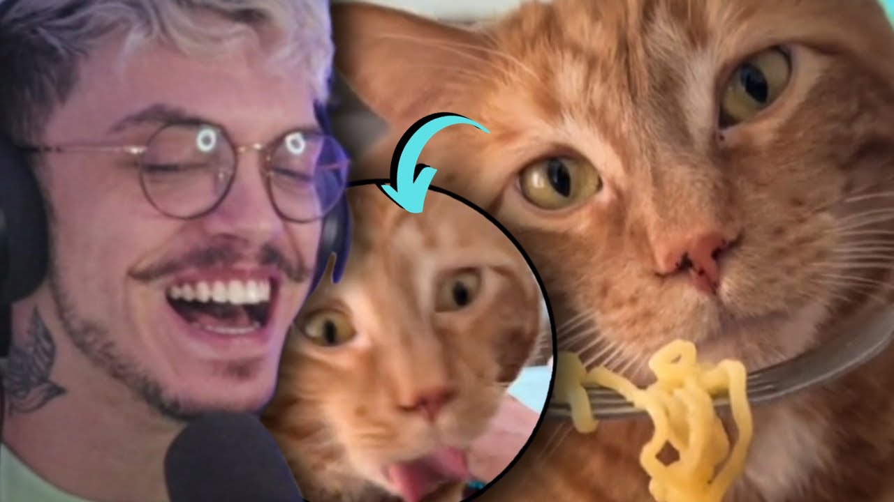 COMPILADO de MEMES do CHAT pra você RIR - YouTube