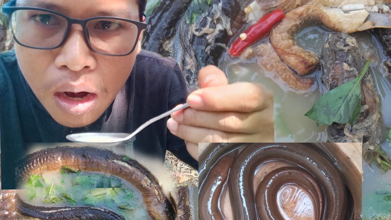 Yummy Yummy..Amazing cooking Eel and Eating Eel. - YouTube