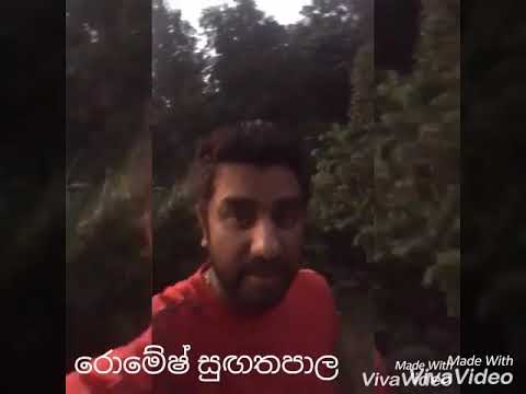 G.B.Senanayake M.V. 40 years Anniversary Celebration - YouTube