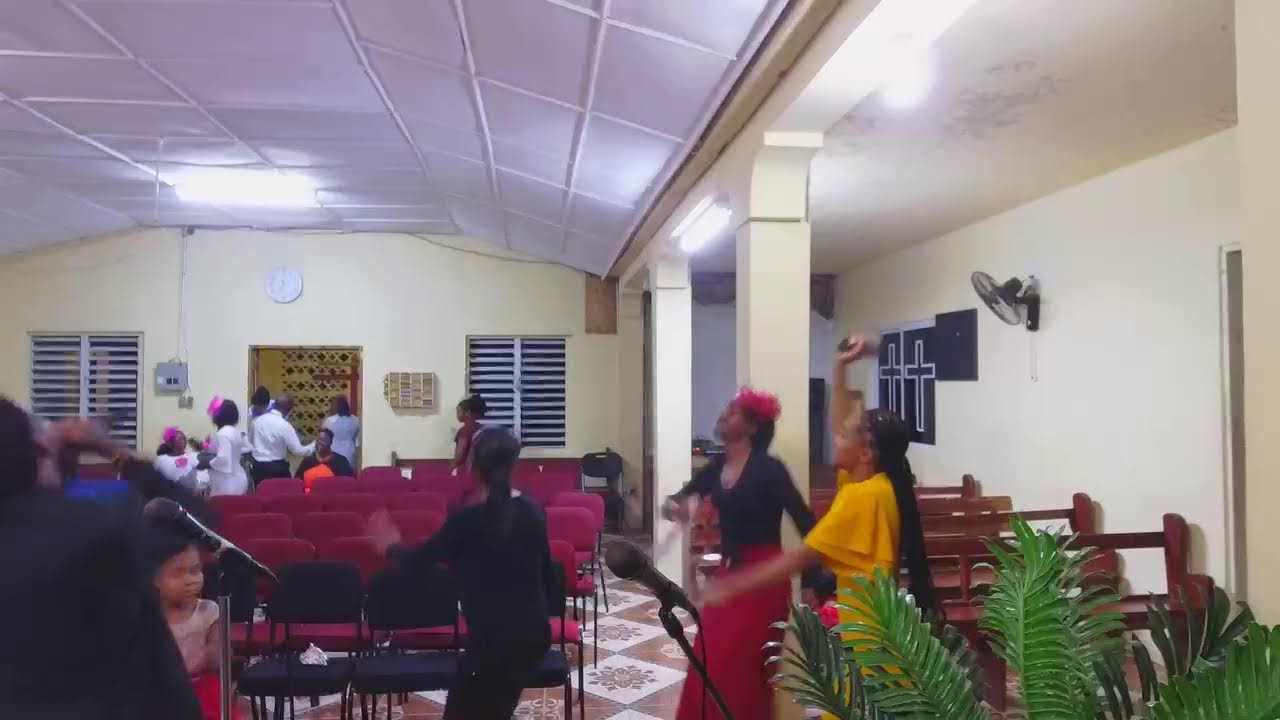 Pedro River NTCOG Rally 2025 - YouTube