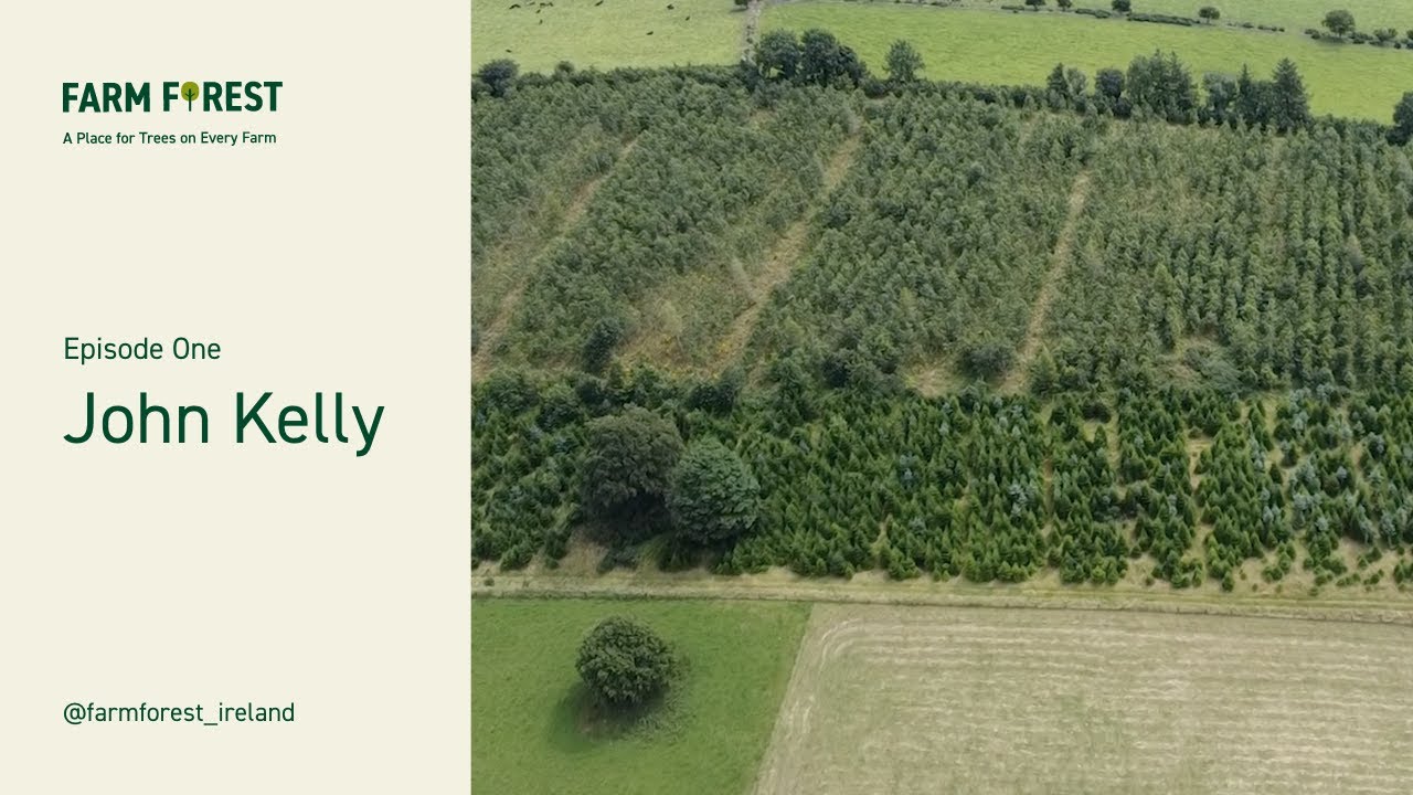 FARM FOREST Episode 1-John Kelly Co. Wicklow - YouTube