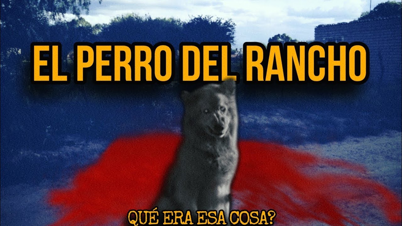EL PERRO DEL RANCHO | ERA UN DEMONIO | HISTORIA DE TERROR - YouTube