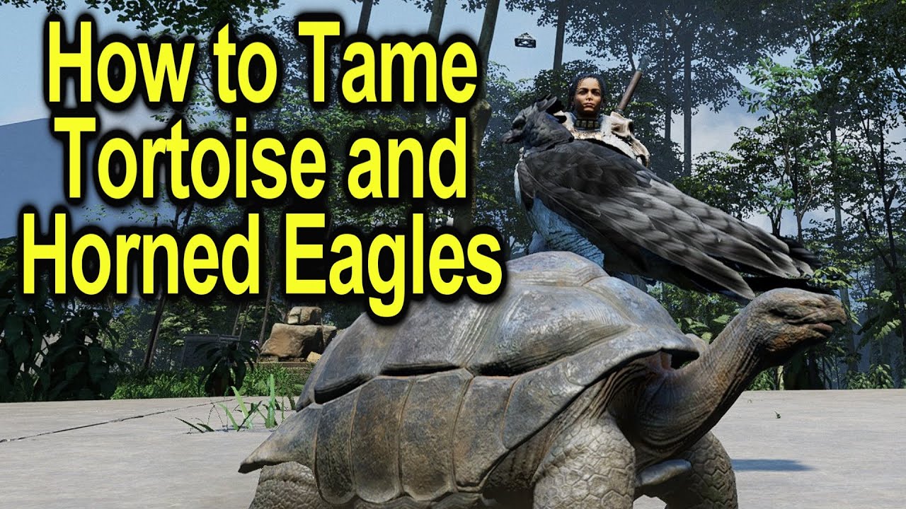 How to tame Horned Eagles and Tortoise | New Tames | Soulmask - YouTube