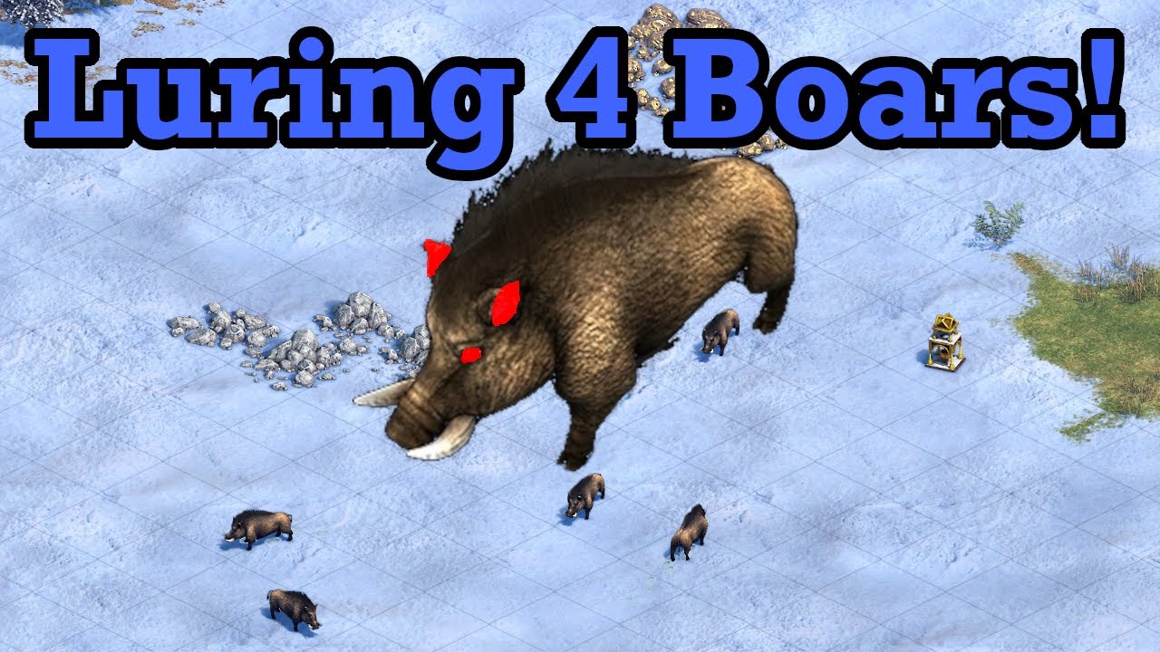How To Lure 4 Boars At Once! [AoE2] - YouTube