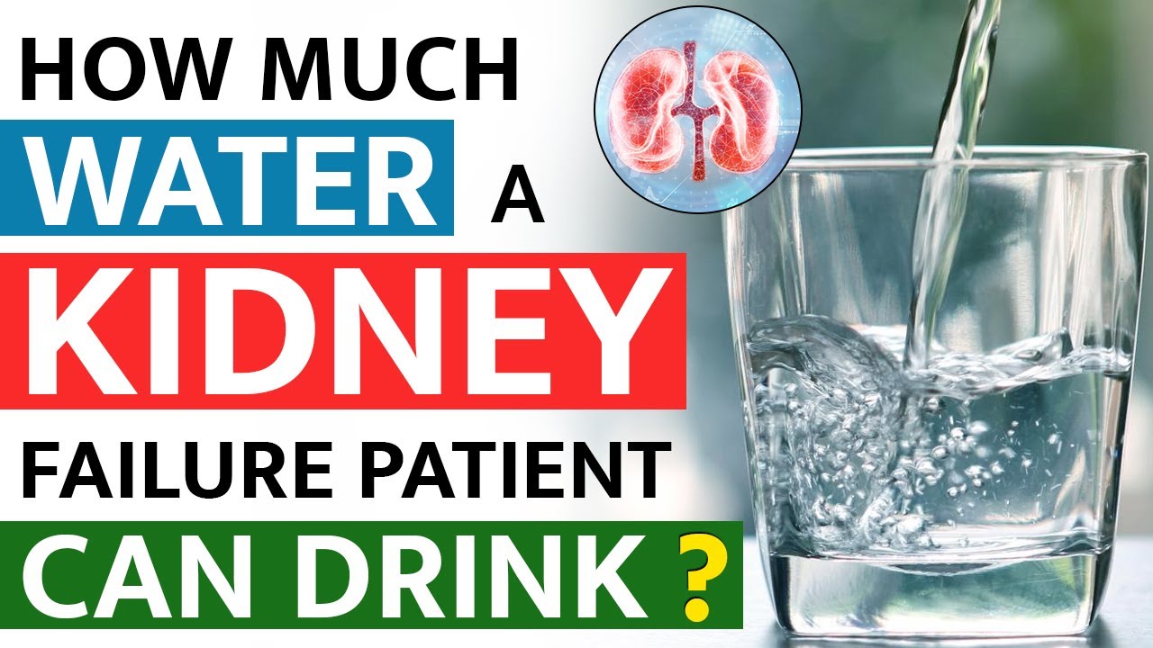 How Much Water a Kidney Failure Patient Can Drink | Water Intake for ...