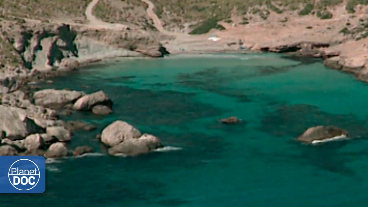 Así es el Parque Nacional del Archipiélago de Cabrera: conócelo en ...