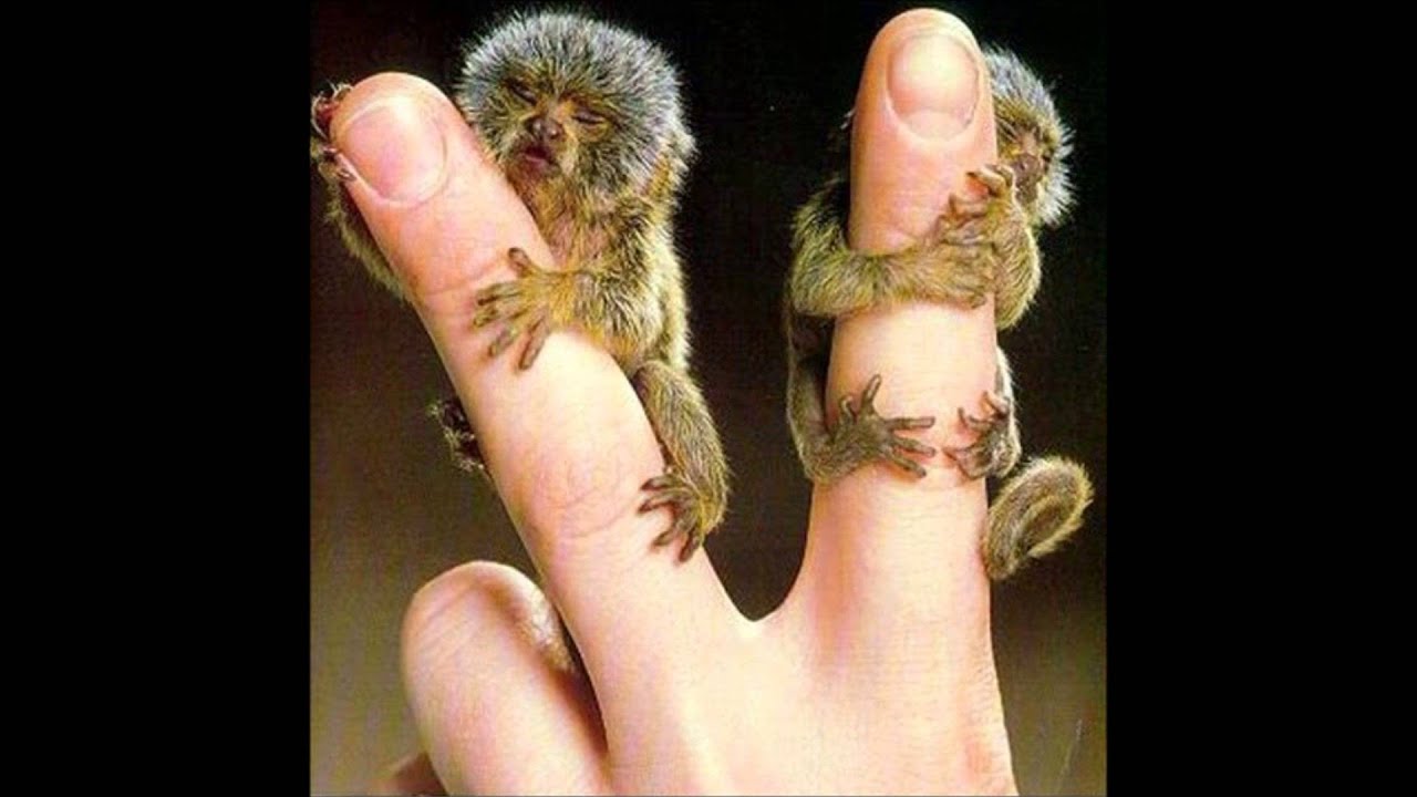 Overwhelming Colorfast - Strong Now - YouTube